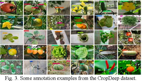 Figure 1 From A Review On Application Of Various Deep Learning Techniques And Filtering Approach