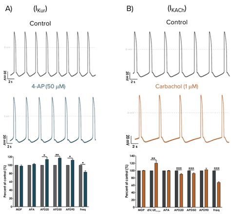 Human Ipsc Derived Ventricular Cardiomyocytes Male Ax2508