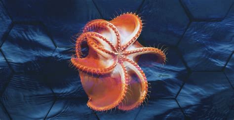 Учёные заметили загадочные отметины на дне Северного Ледовитого океана