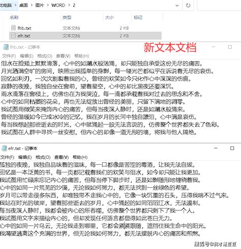 轻松掌握批量删除多个 txt 文本文件的某个指定内容，提高工作效率的方法 软件 处理 进行