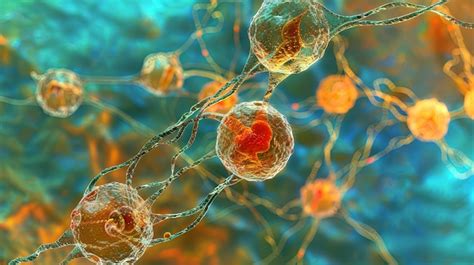 Premium Photo Intricate Neural Network Representation With Vivid Synaptic Connections