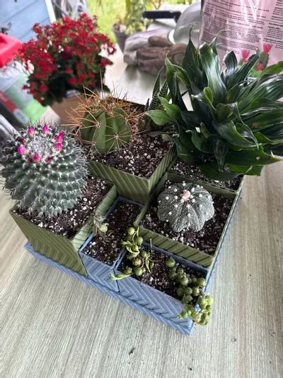 Gridfinity Modular Planter System By Hopper Dropper Makerworld Download Free 3d Models