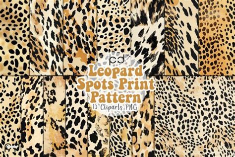 Leopard Spots Print Pattern Clipart Png Graphic By Padmadesign