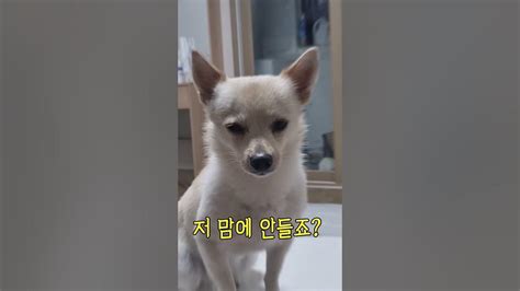 눈을 왜 그렇게 떠 랄랄 챌린지 Youtube