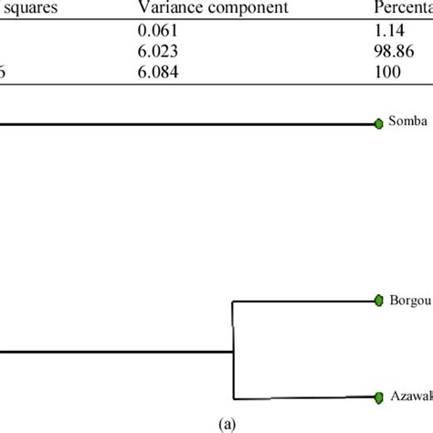 Analysis Of Molecular Variance For The Three Cattle Population