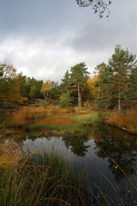 nature Norway 2 Free Photo Download | FreeImages