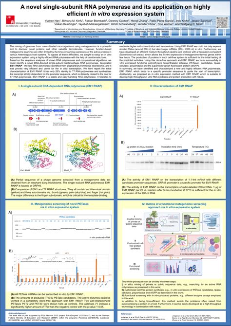 Pdf A Novel Single Subunit Rna Polymerase And Its Application On Highly Efficient In Vitro