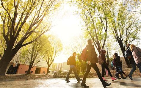 Babes Returning For Spring Semester CSUF News