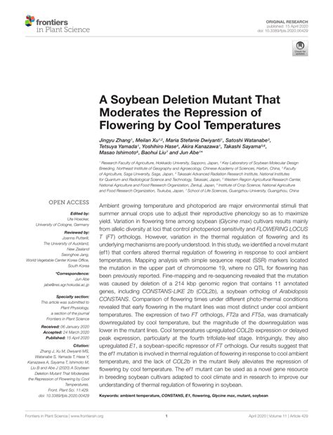 Pdf A Soybean Deletion Mutant That Moderates The Repression Of