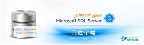 دستور Select در Sql آموزش مقدماتی کوئری نویسی در Sql آموزش‌های استوایی