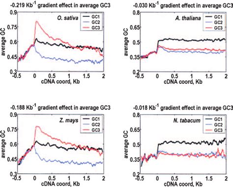 Gc1 Gc2 And Gc3 Content As A Function Of Cdna Position Relative To