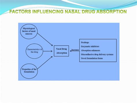 Ppt Seminar On Intranasal Drug Delivery Powerpoint Presentation Free