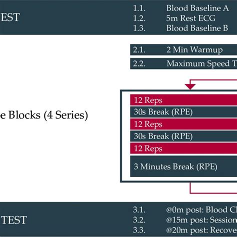 Protocol Definition Of The Entire Study Including The Pre And