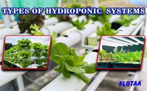 Types Of Hydroponic Systems Pros And Cons