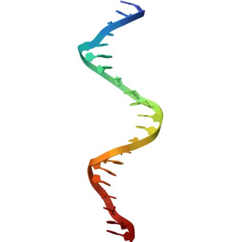Rcsb Pdb 7tfx Taghg2t Ph11 Ph7 120s Metal Mediated Dna