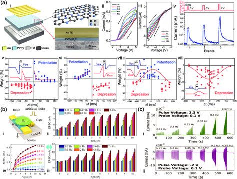 Electrical Synapses And The Plasticity A The Memristor Based On C 3