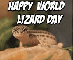Lizard S Download And Share