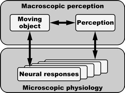 Figure 141 From Linking Psychophysics And Physiology Of Center