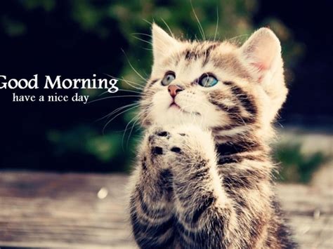 75 Funny Good Morning Memes To Kickstart Your Day
