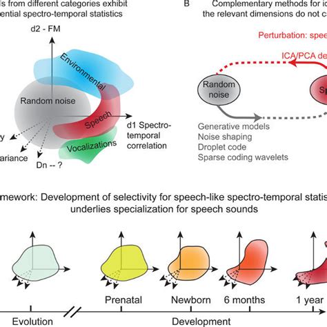 The Amplitude Modulation Spectra Of Speech In Different Languages A Download Scientific