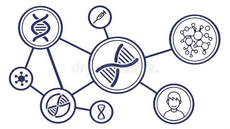 Molecular Network Science Chemistry And Biology Connections In Vector