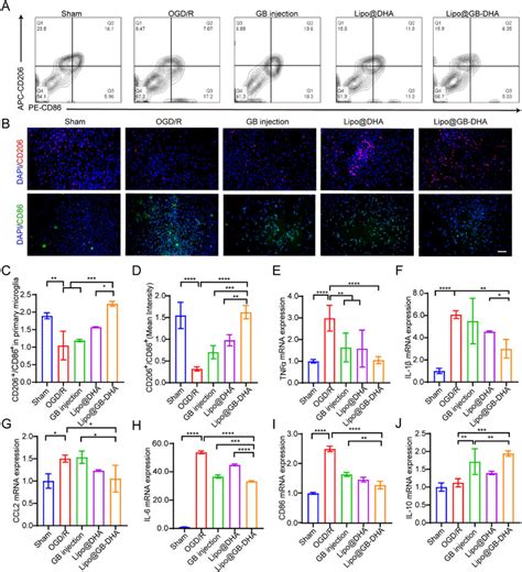 Regulation Of Microglia Phenotypes And Inflammatory Cytokines Download Scientific Diagram