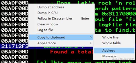 【网络安全】brainpan Windows缓冲区溢出详解immunity Debugger安装 Csdn博客