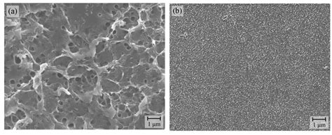 Effect Of Polymer Substrate On Adhesion Of Electroless Plating In Irradiation Based Direct