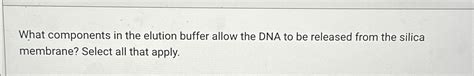 Solved What Components In The Elution Buffer Allow The Dna
