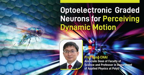 Polyu Researchers Develop Optoelectronic Grad Eurekalert