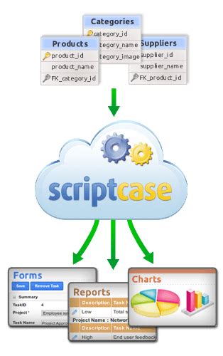 ScriptCase Generando Aplicaciones Web Con Bases De Datos Access Latino America