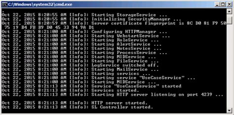 Simple About Sap Basis Sap Update System Using Software Update Manager 10