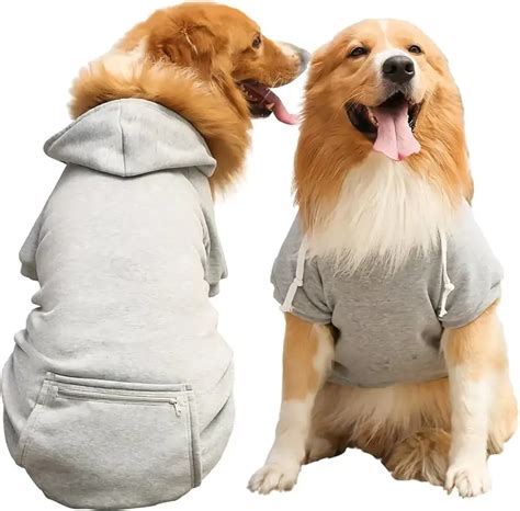 The Adorable Combo Boston Terrier Wearing A Hoodie Shunvogue