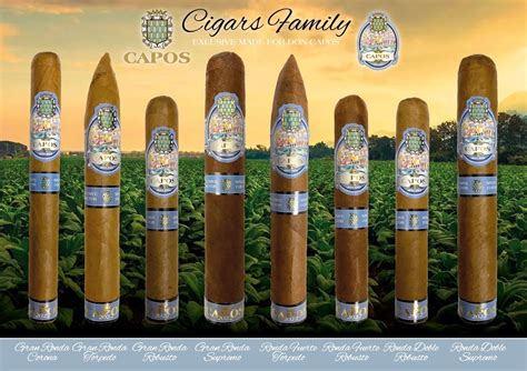 De Linsert Au Capuchon Tout Ce Que Vous Devez Savoir Sur Les Cigares