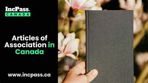 Articles Of Association In Canada In 2024 Importance And Key Components