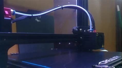 Fucktopus Timelapse Album On Imgur