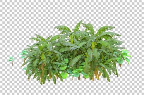 Page 7 Jungle Grass Png Psd 22000 High Quality Free Psd Templates