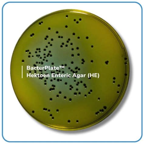 Bacterplate™ Hektoen Enteric Agar He Bacterlab