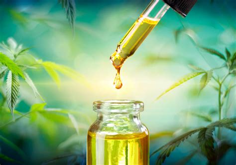 Sex On Magic Mushrooms Is It Safe Psilocybin Dr Michele Ross