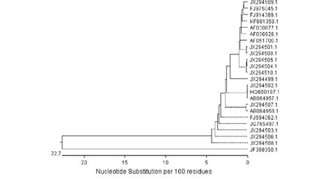 Cluster Analysis Based Dendrograms Constructed With 22 Its Sequences