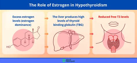 How To Treat Hypothyroidism Naturally