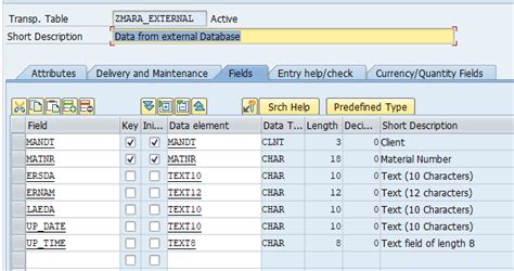 Dl Sync Practice Sap Ztable Examples