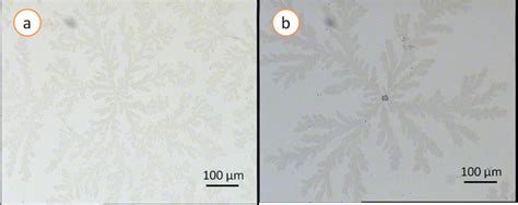 Figure 3 4 From Morphological Control Of Poly Ethylene Oxide Polystyrene Blend Thin Films By
