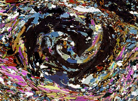 Snowball Garnet Light Micrograph Stock Image C057 6699 Science