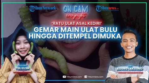 Viral Wanita Ini Punya Hobi Ekstrem Main Dengan Ulat Bulu Dijuluki Ratu Ulat Asal Kediri
