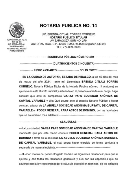 Poder Notarial Pdf