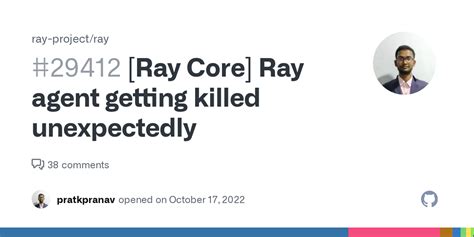 Ray Core Ray Agent Getting Killed Unexpectedly · Issue 29412 · Ray