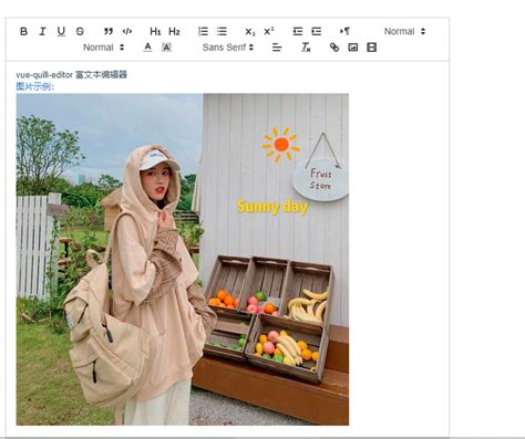 Vue使用富文本编辑器vue Quill Editor 木马不是马 博客园