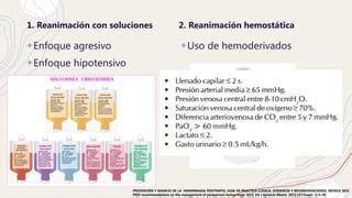 Manejo De La Paciente Con Hemorragia ObstÉtricapptx