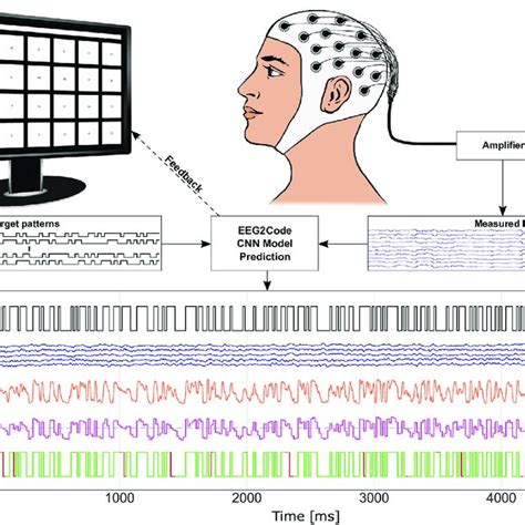 Example Of The EEG Code CNN Pattern Prediction The Target Download Scientific Diagram